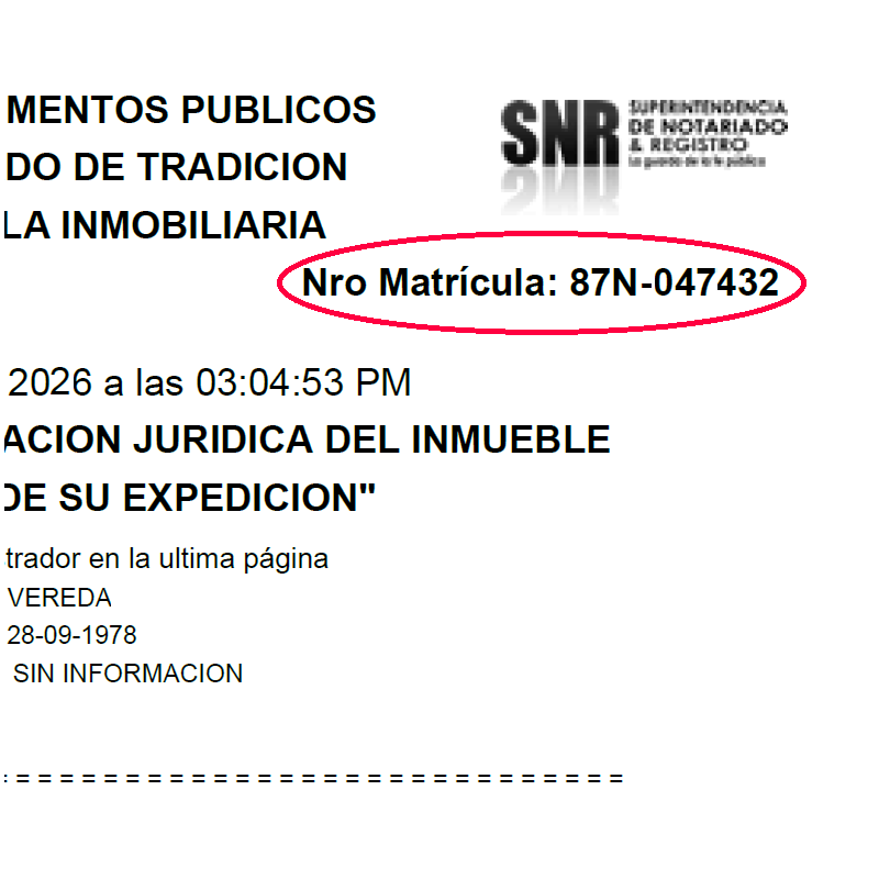 Certificado De Libertad